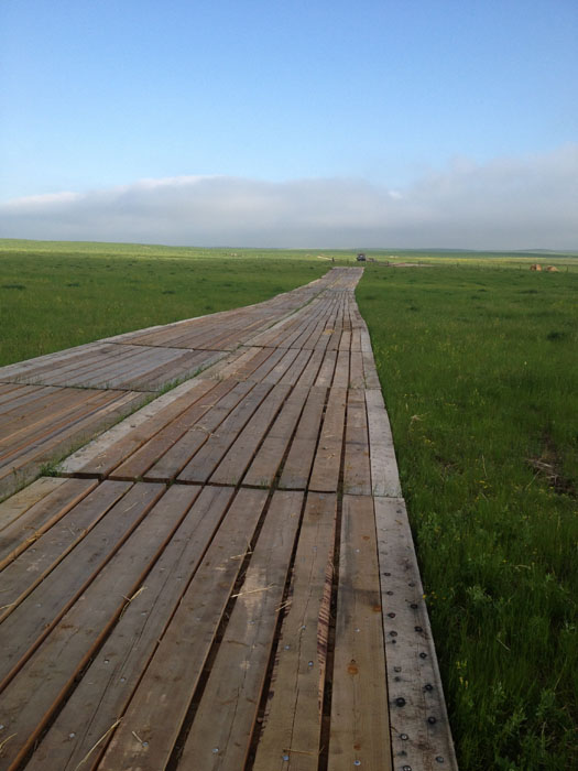 NLSS Construction Ltd.